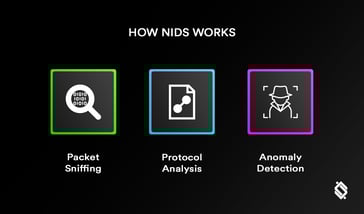 Mastering Cybersecurity: A Deep Dive into NIDS for Tech Leaders