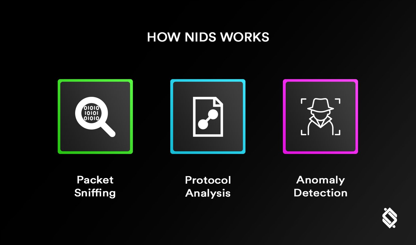 Mastering Cybersecurity: A Deep Dive into NIDS for Tech Leaders