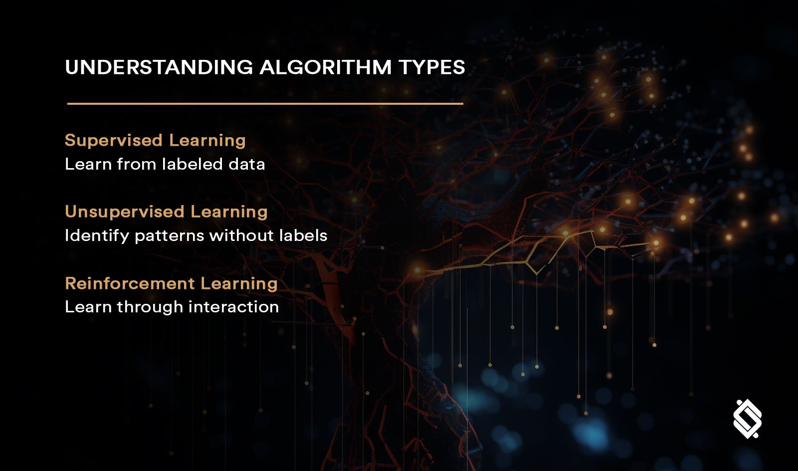 Machine Learning Algorithms: A Comprehensive Guide for Tech Leaders